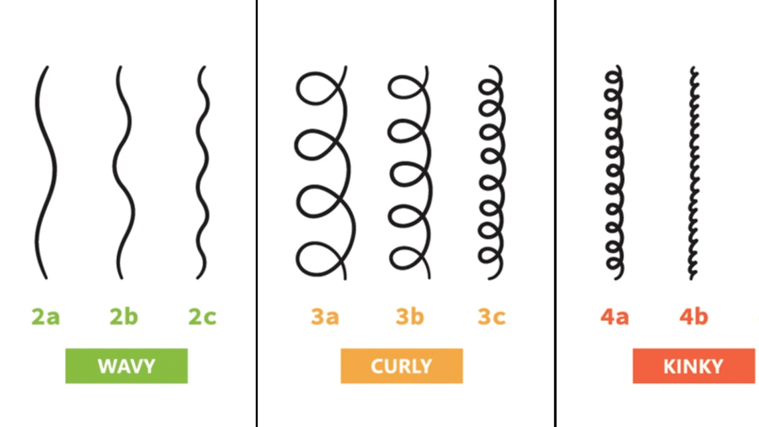 All About 2B Curly Hair with Hair Care Routine (Men & Women) - Stemsontx