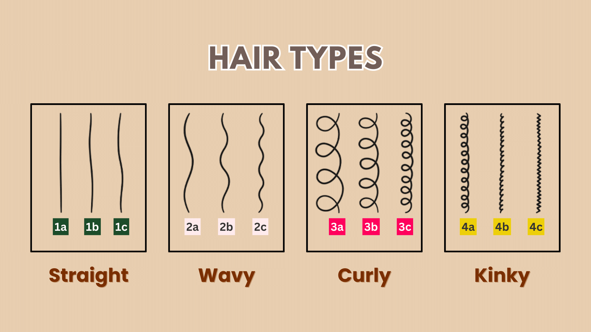 What Are the Different Types of Men's Hair? - Stemsontx