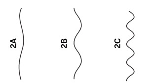 Everything You Need to Know About Wave Pattern Hair and Types - Stemsontx