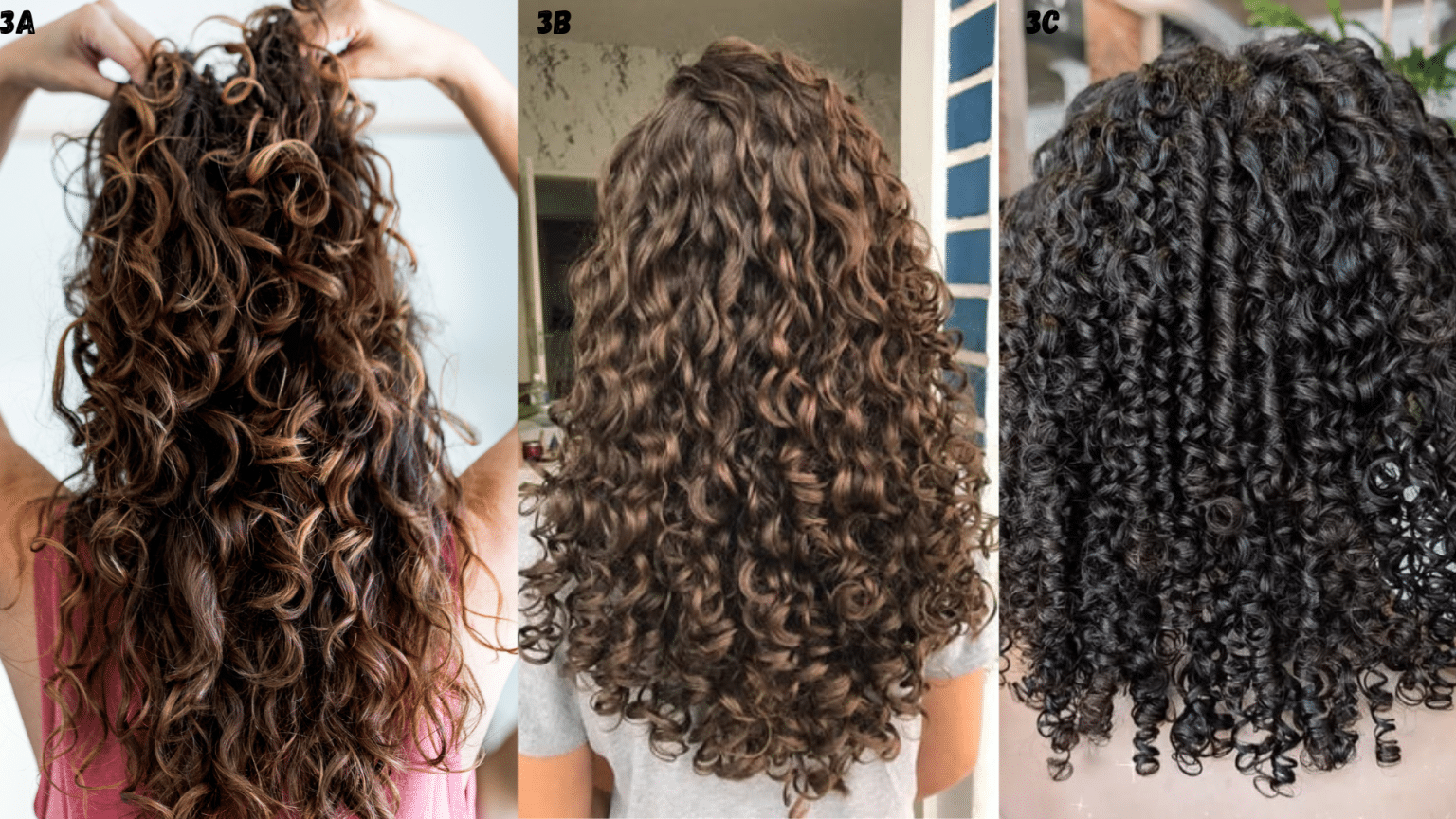 How to Determine Your Hair Type Using the Hair Type Scale - Stemsontx